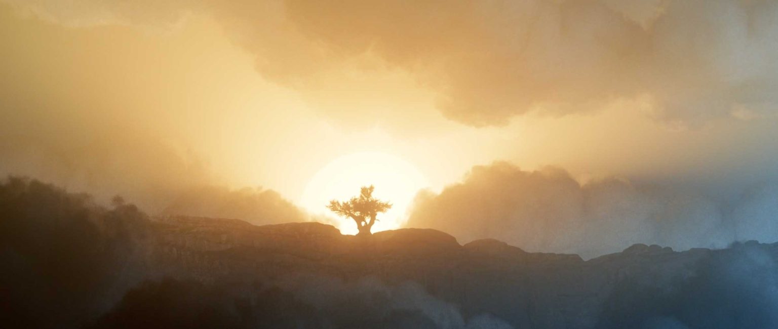 Trizz Peers Beyond the "Blurred Cliff" in Dream-like new Music Video ...