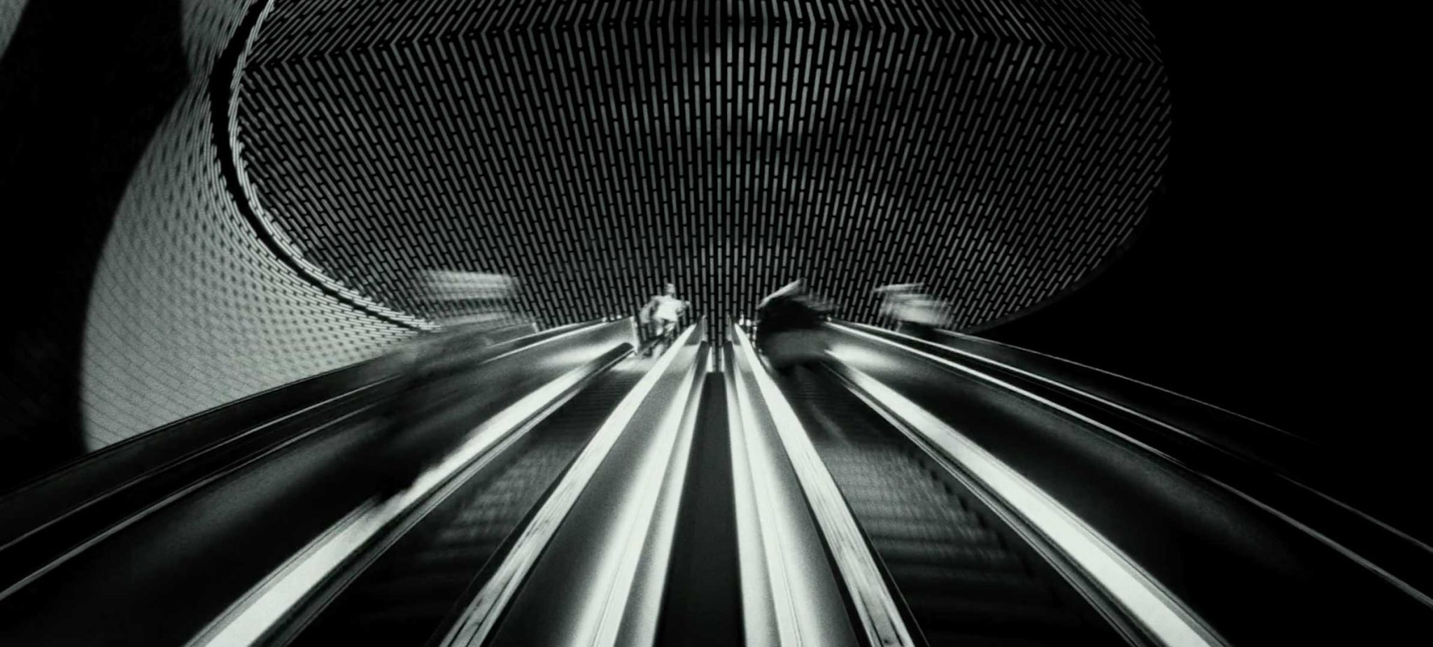 João Vaz Oliveira & Tiago Higgs Explore Choice and Consequences in ...