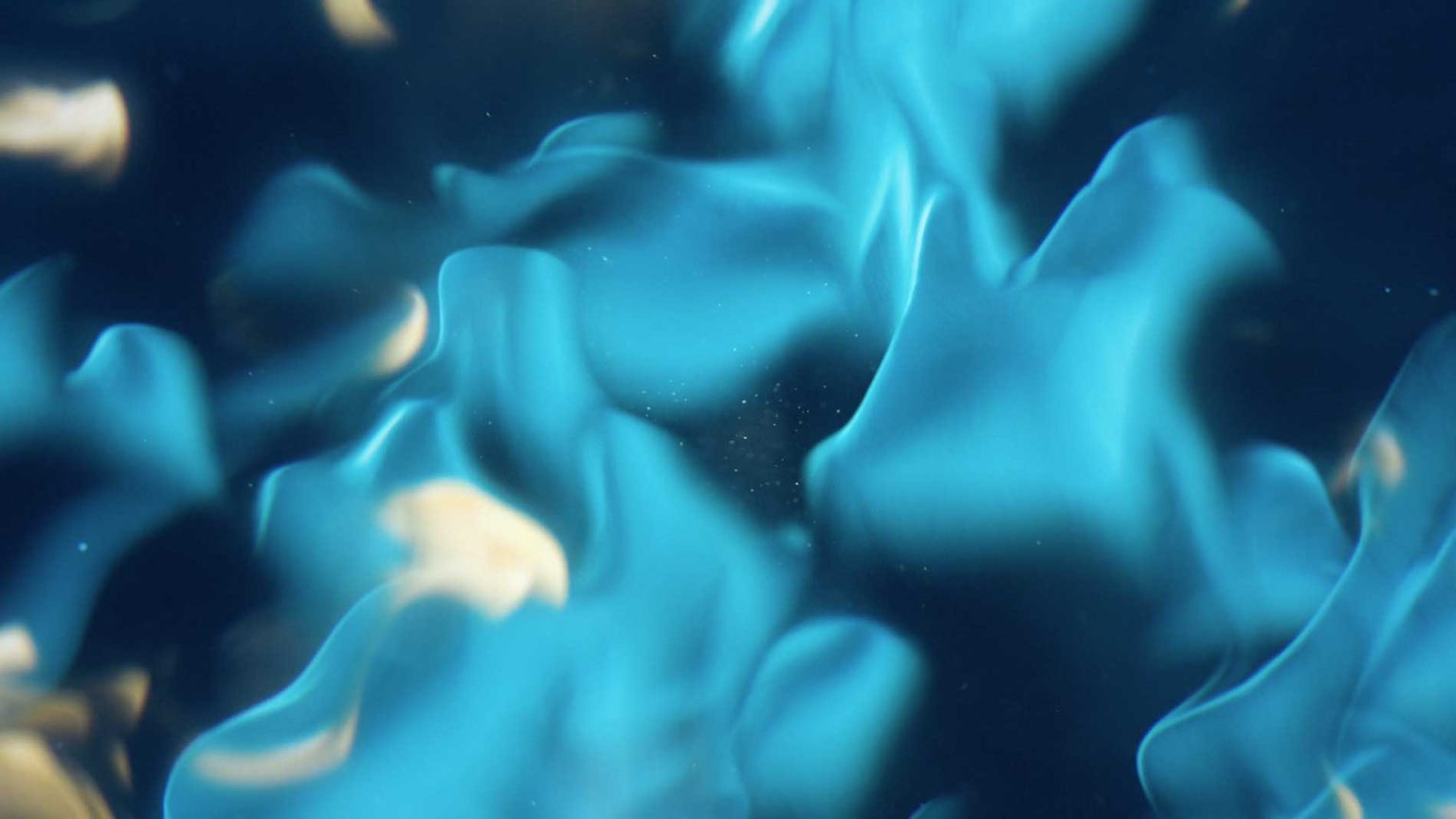 Welcome to the Johnnie Walker Blue ASMR Taste Experience - Motion ...