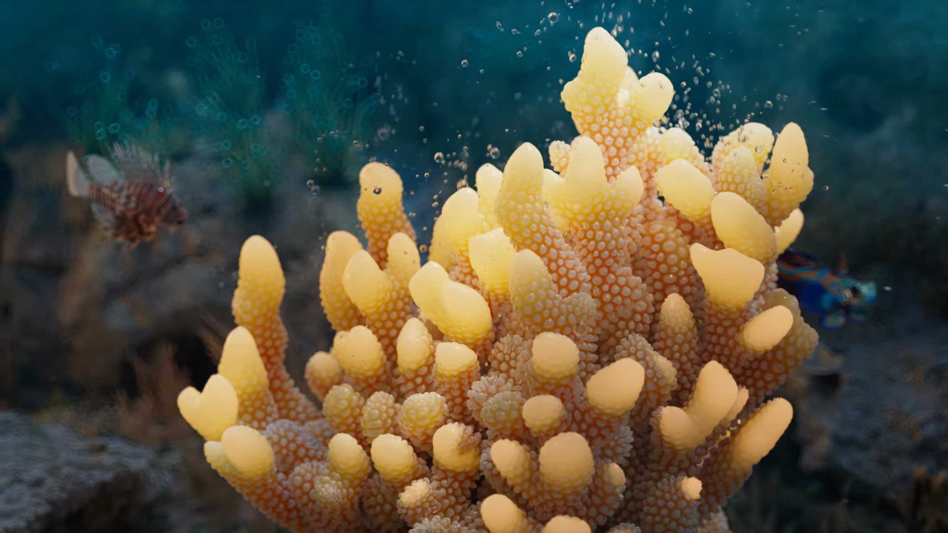 Join José León Molfino on a CG Deep Dive - Motion design - STASH : Motion design – STASH