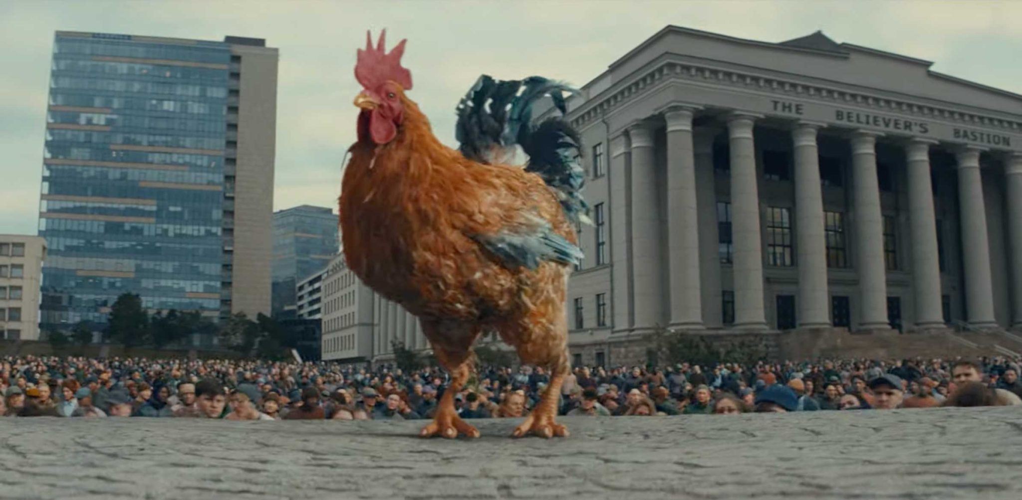 Vedran Rupic, Mother, and Black Kite do the Chicken - Motion design ...