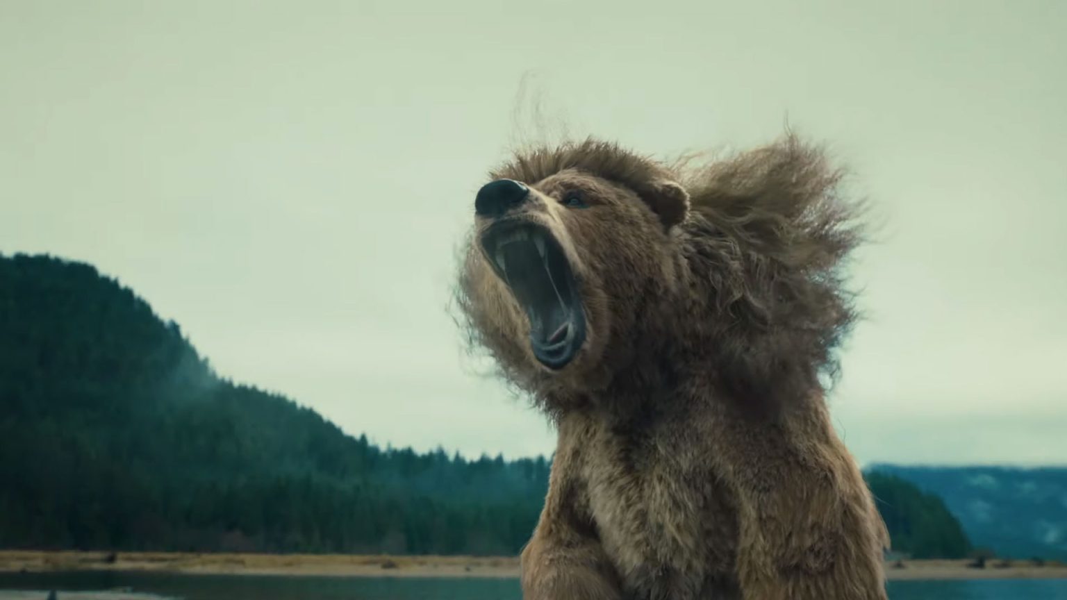 The Mill and Hungry Man Party in the Back with Kawasaki's Super Bowl Ad ...