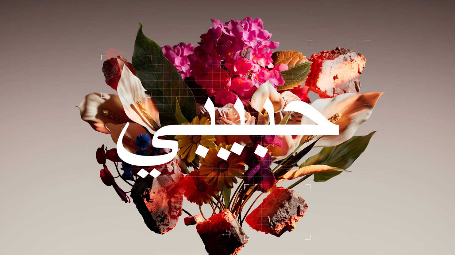 Habibi Archives - Motion design - STASH : Motion design – STASH