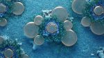 "Life #1" Art Film and Digital Gallery by Tendril - Motion design ...