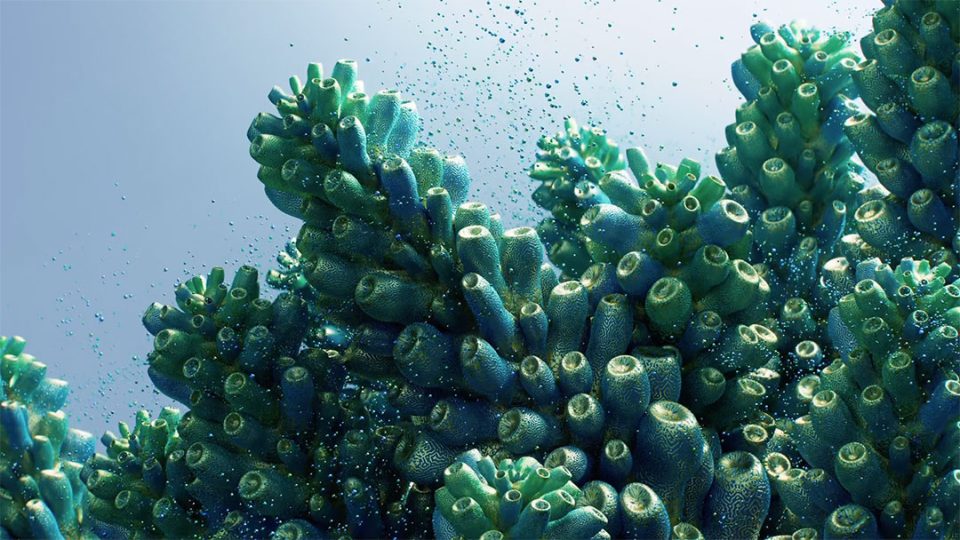 "Life #1" Art Film and Digital Gallery by Tendril - Motion design ...