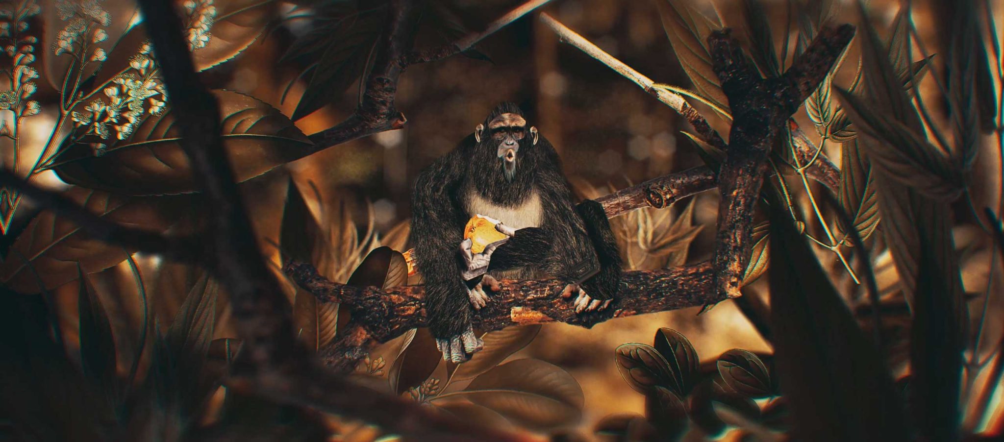 Ariel Costa Looks into "Little Empty Boxes" for Feature Doc - Motion ...