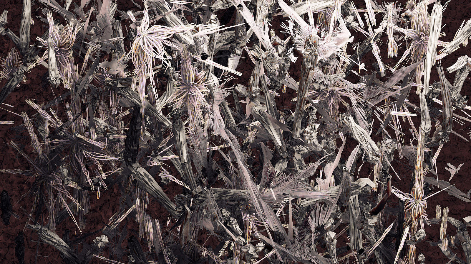 Markos Kay "Quantum Fluctuations" | STASH MAGAZINE : Motion design – STASH