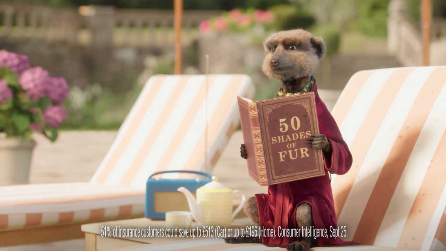 It's the Good Life: Dave Scanlon Finds "Me Time" for Meerkats - Motion ...