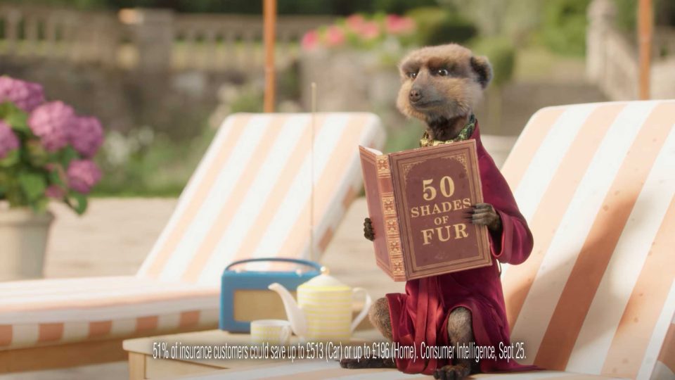 It's the Good Life: Dave Scanlon Finds "Me Time" for Meerkats - Motion ...