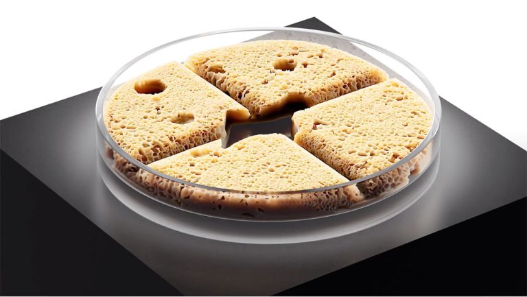 Media.Work's New Experiment Deep Dives into "Foam" - Motion design - STASH : Motion design – STASH