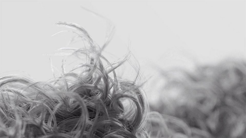 Up Close and Personal with "Felt" by Media.Work - Motion design - STASH ...