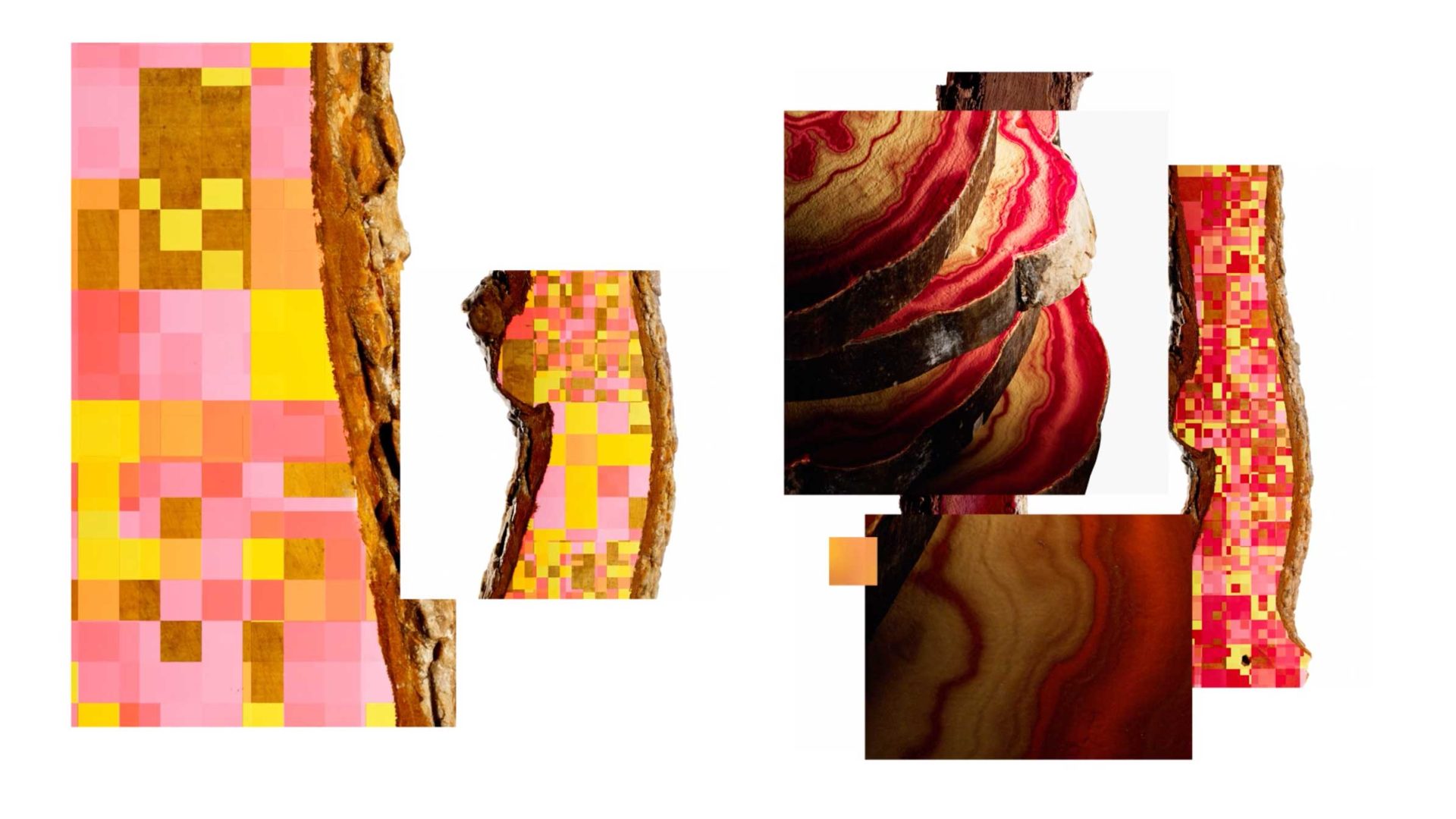 Media.Work Explores Color Spectrum in New Motion Research - Motion ...