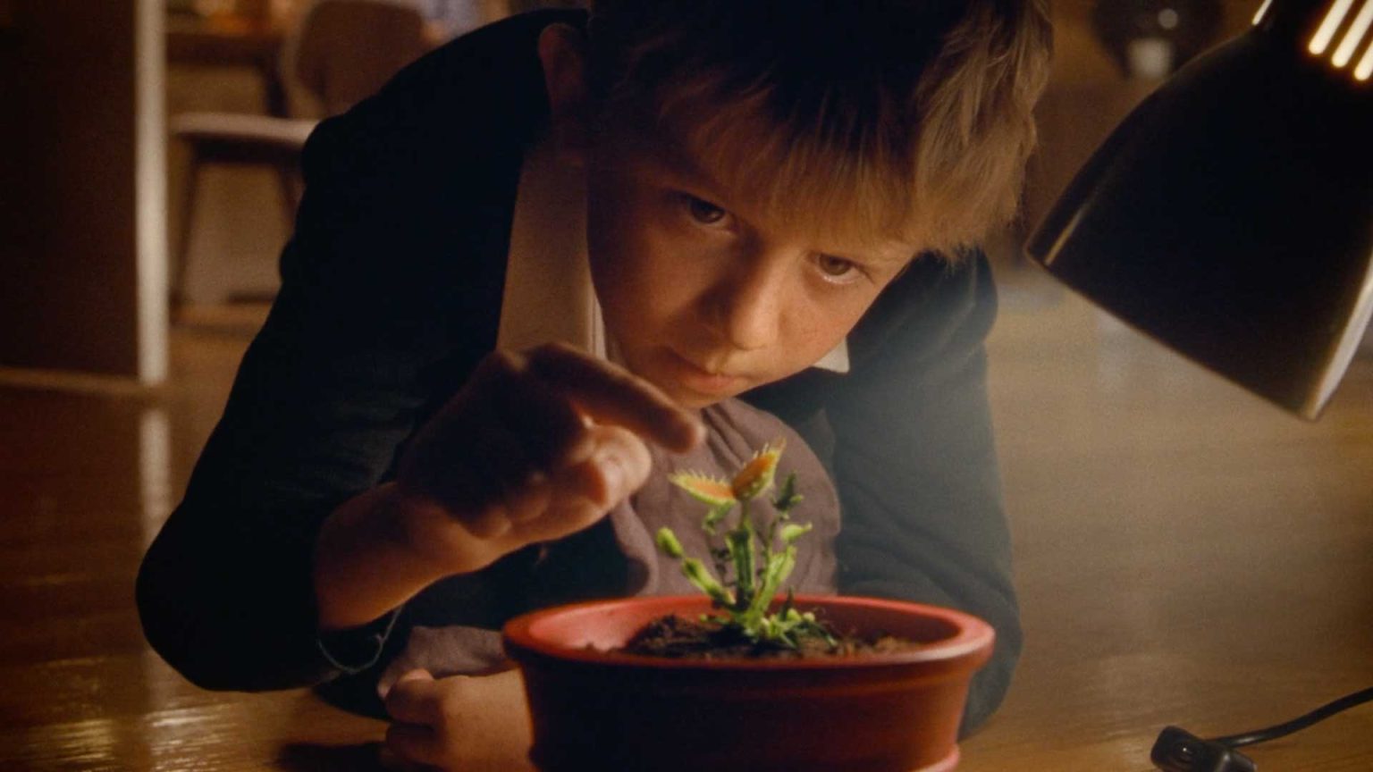Megaforce and Electric Theatre Collective Deliver "The Perfect Tree" in ...