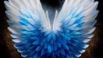 Mobile Motion: Millarc Shows Off Smartphone Wallpapers - Motion design ...