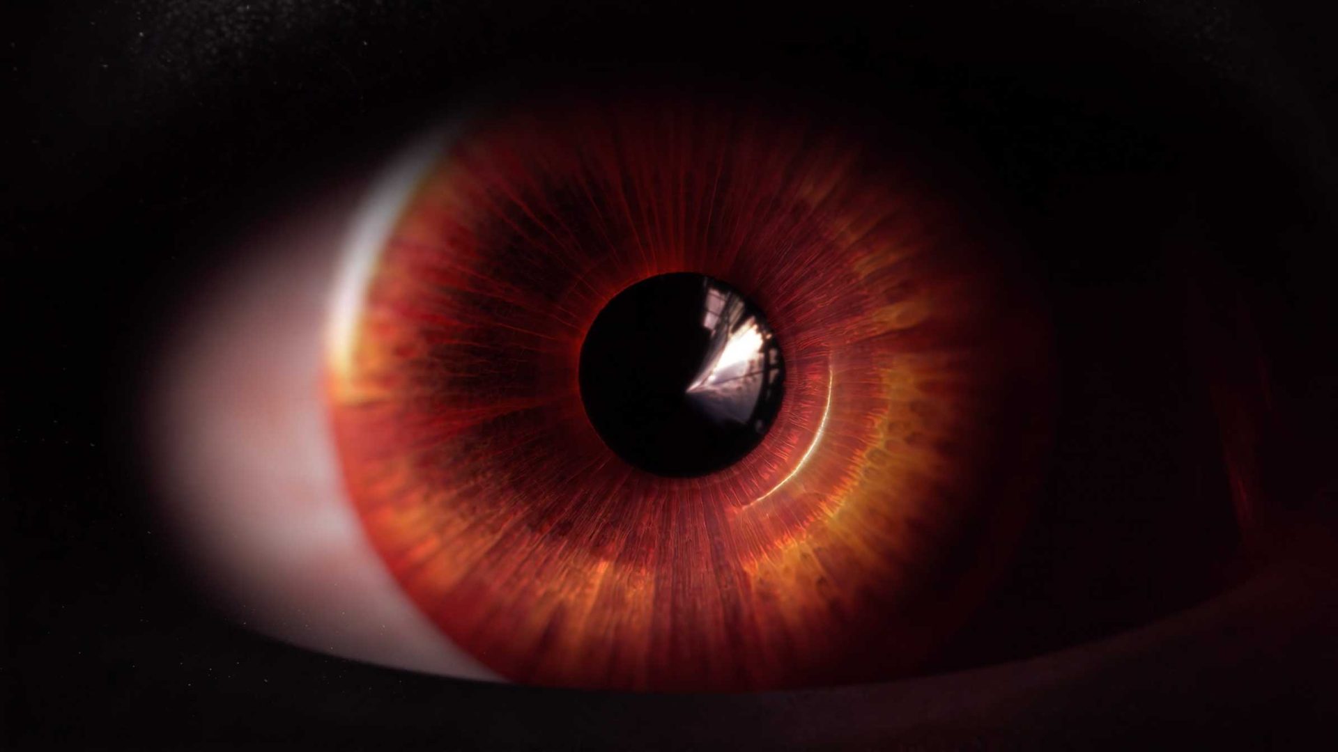 Studio River Ponders AI's Creative Future in Motion Plus Design Tokyo ...