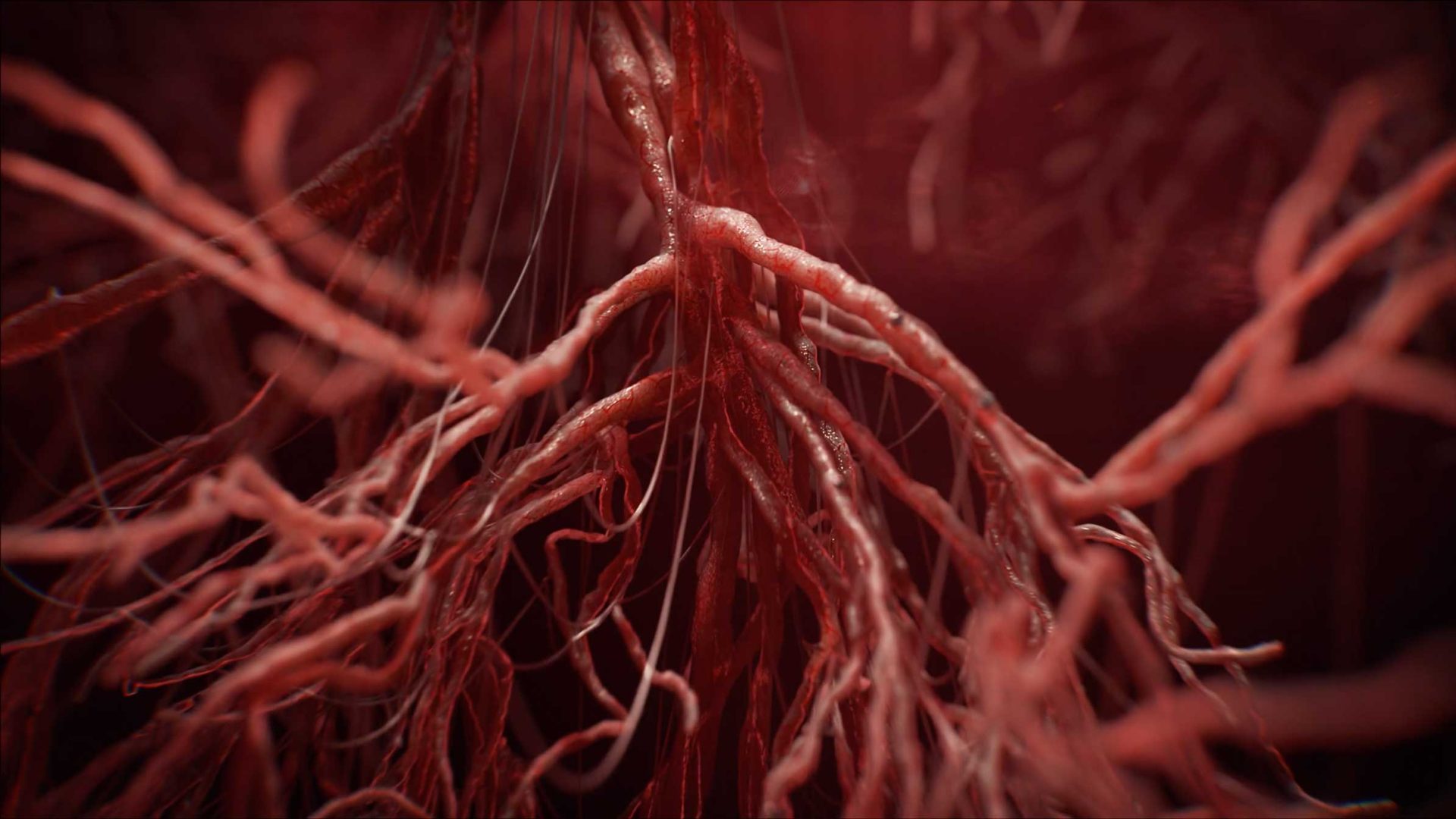 Studio River Ponders AI's Creative Future in Motion Plus Design Tokyo ...