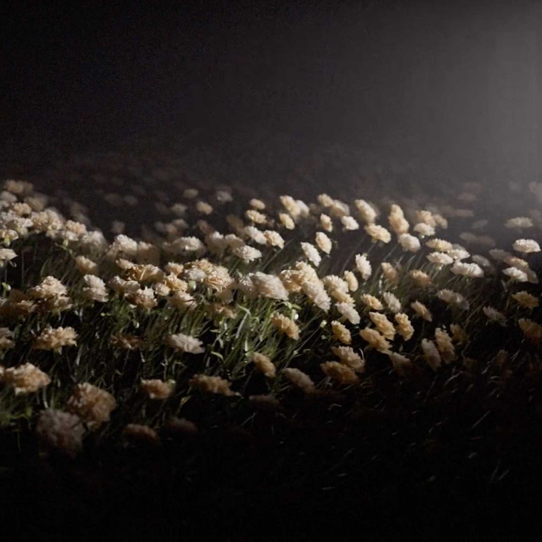 Motion Punk's "A(n)ti" Dance Trailer Doubles as a Tribute to the Women ...