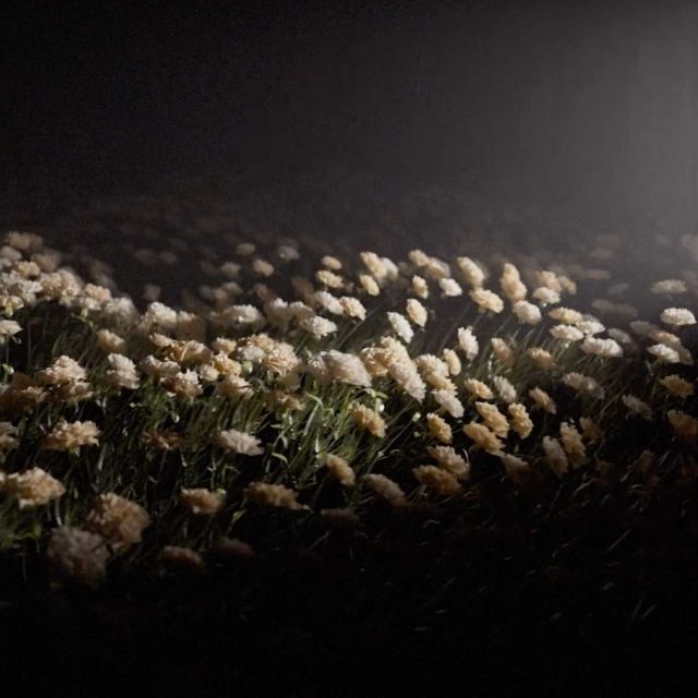 Motion Punk's "A(n)ti" Dance Trailer Doubles as a Tribute to the Women ...
