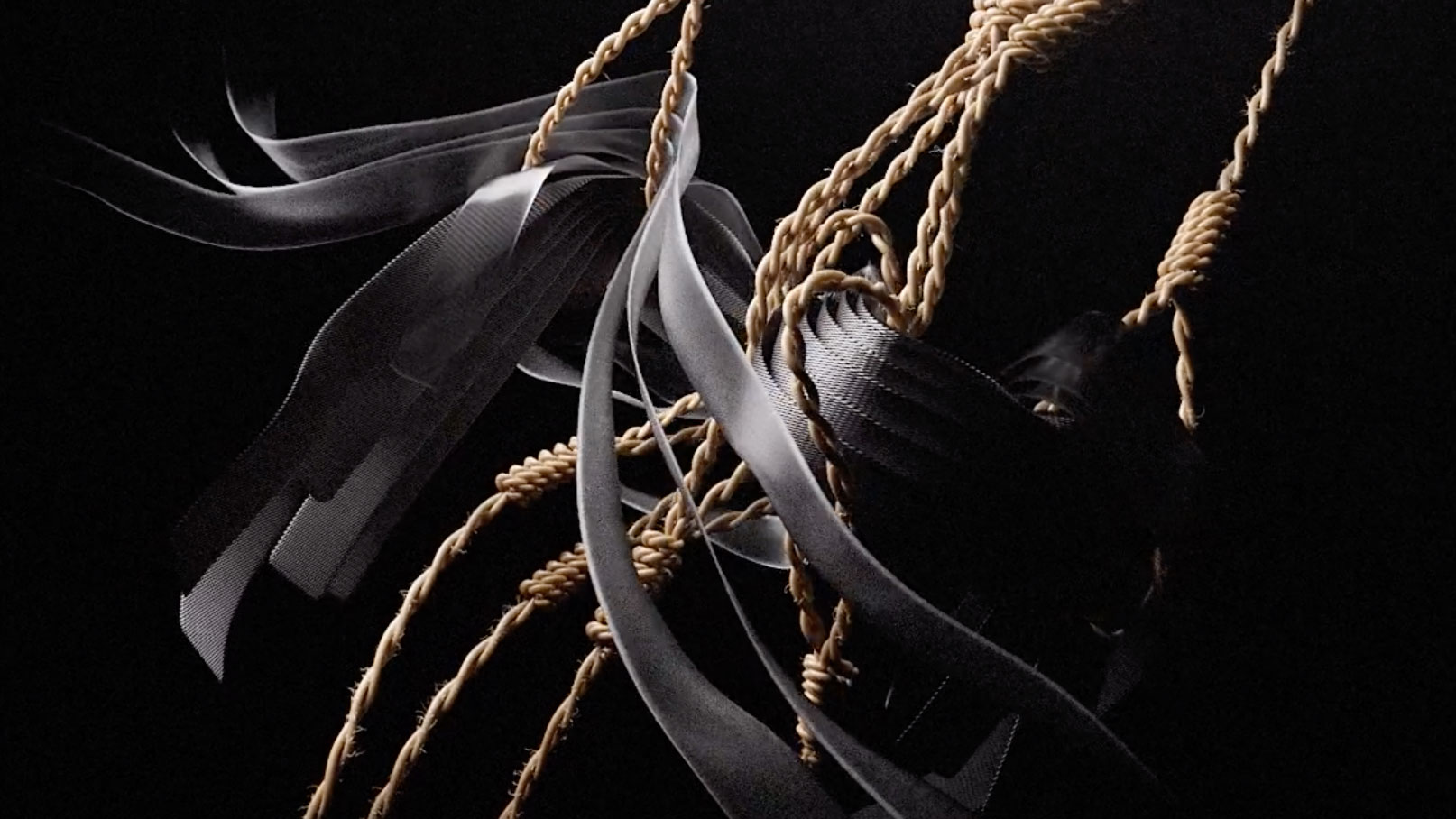 Motion Punk's "A(n)ti" Dance Trailer Doubles as a Tribute to the Women ...