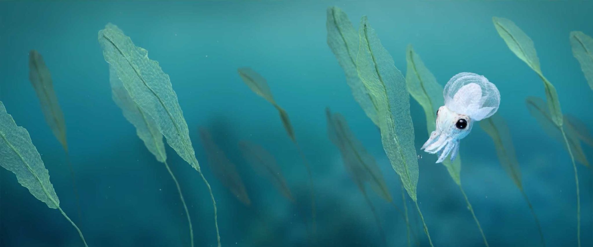 Doris the Octopus Charms Her Way into Amazon Doc Series - Motion design ...