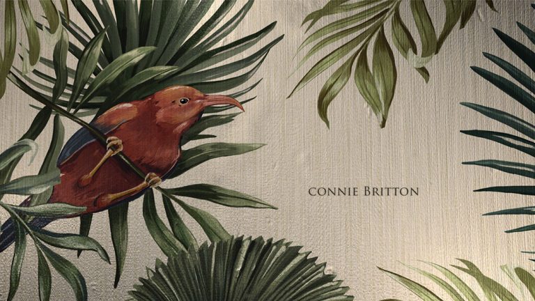 HBO "The White Lotus" Title Sequence by Plains of Yonder - Motion ...