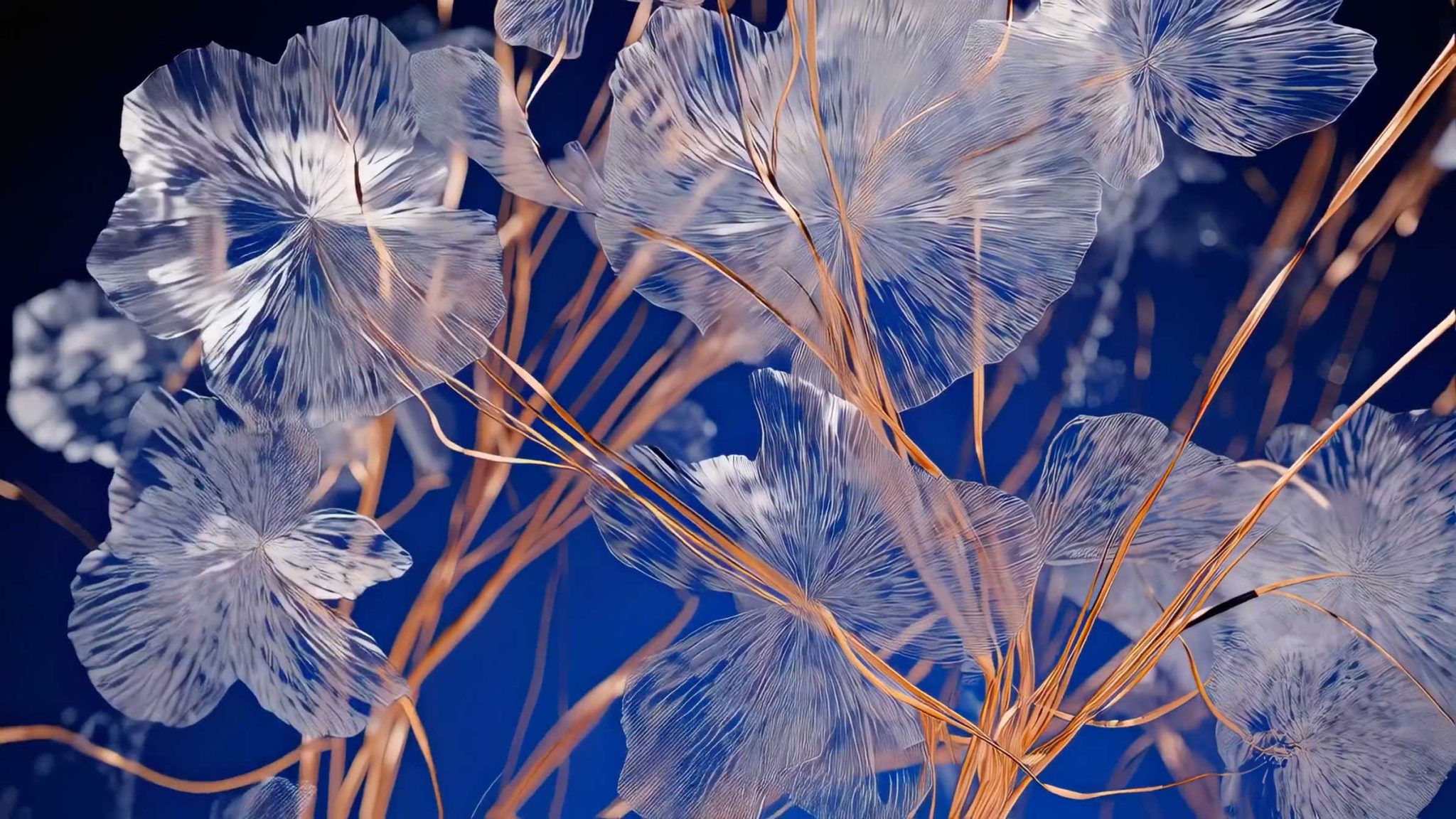 Markos Kay Keeps Calm and Carries on in "Petal Drift" - Motion design ...