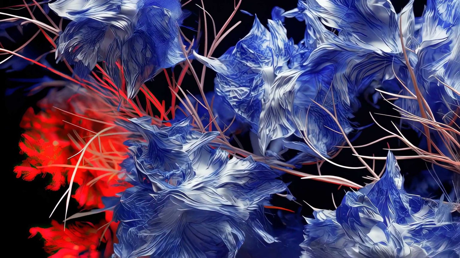 Markos Kay Keeps Calm and Carries on in "Petal Drift" - Motion design ...