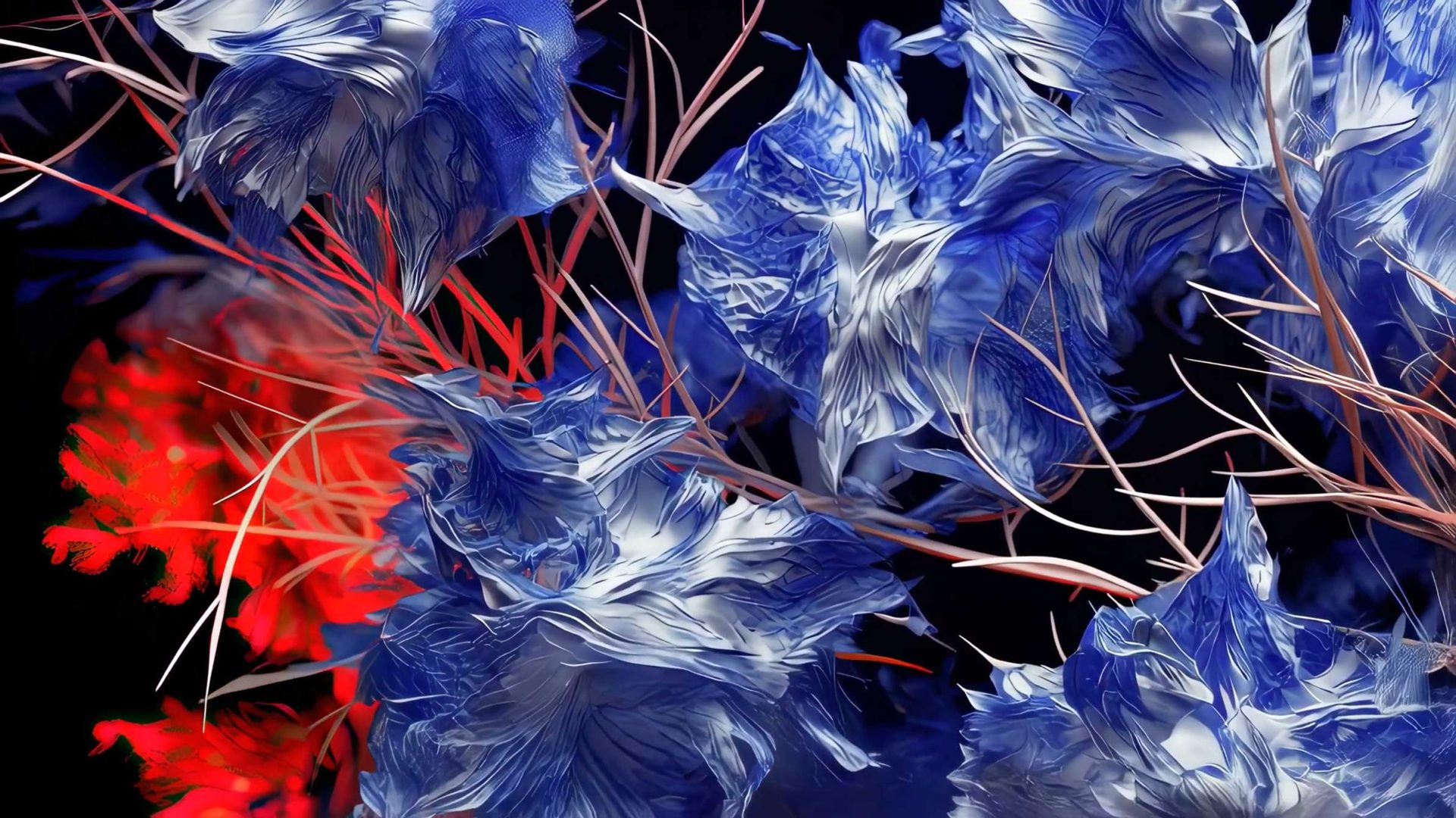 Markos Kay Keeps Calm and Carries on in "Petal Drift" - Motion design - STASH : Motion design ...