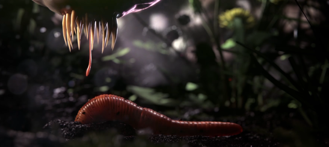 Polynoid "The Shark In The Park" | STASH MAGAZINE : Motion design – STASH