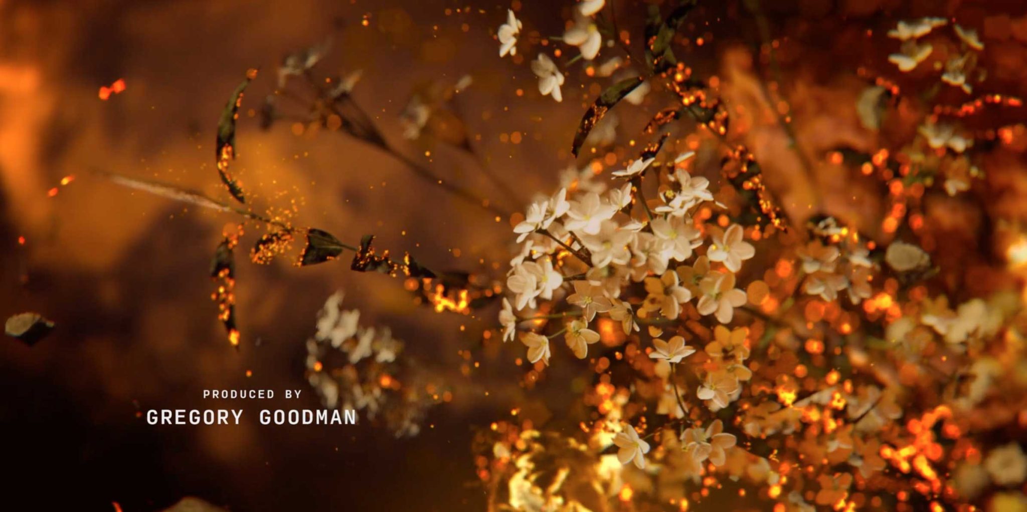 Prologue Destroys the Narrative in "The Gorge" End Credits - Motion ...