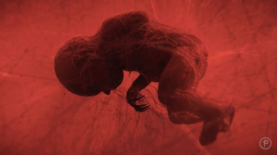 Prologue Opens "American Horror Story: Delicate" for FX - Motion design ...