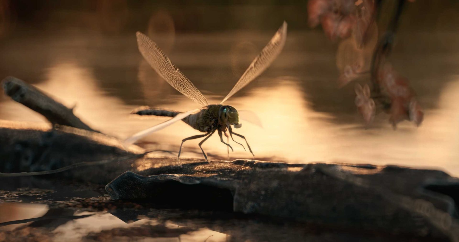 Drift Away on Pulla Studio's "Forgotten Boats" - Motion design - STASH : Motion design – STASH