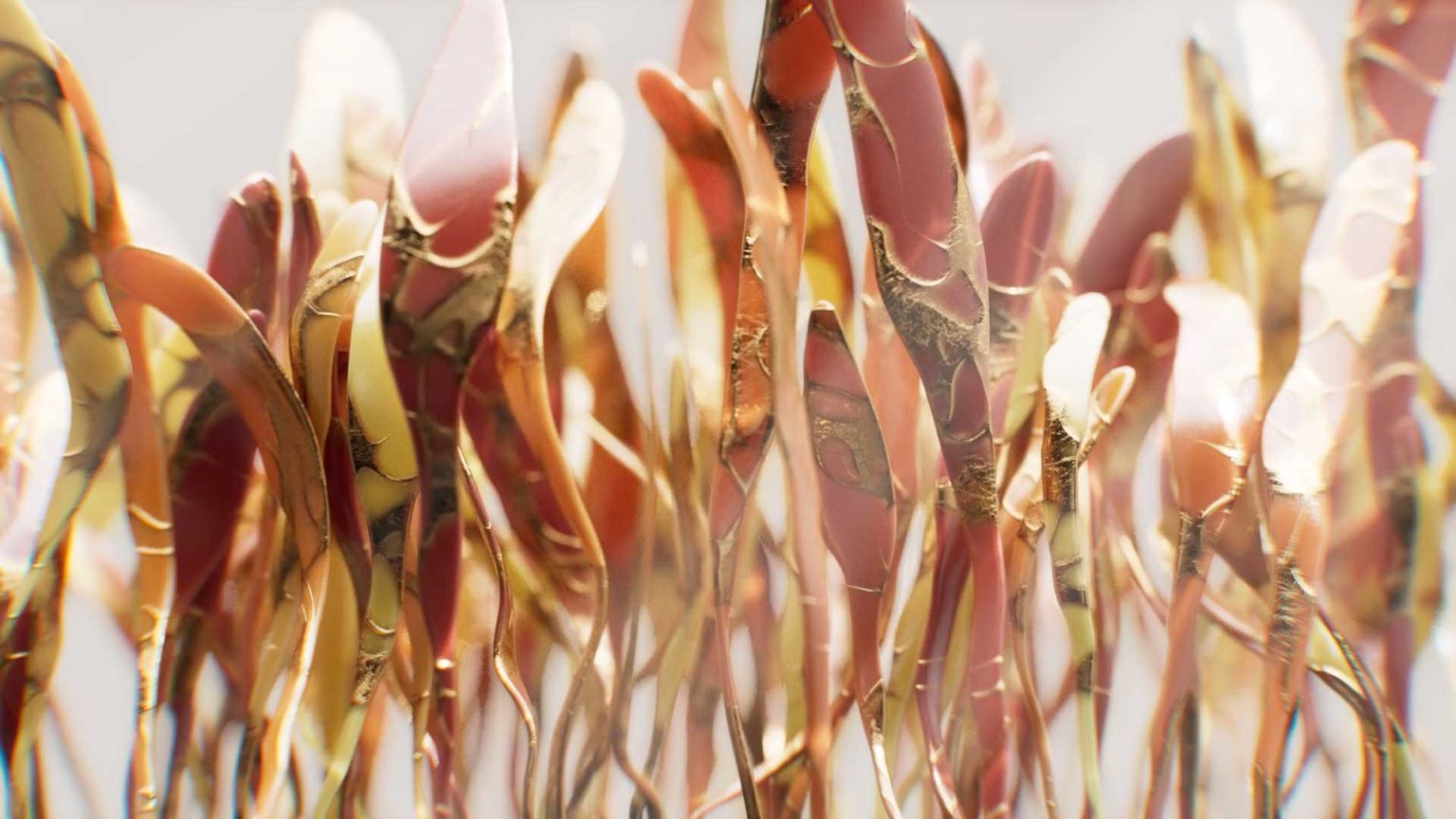 Raw & Rendered Dives into the Process Behind Tiffany's Deep Sea Jewelry Adventures - Motion ...