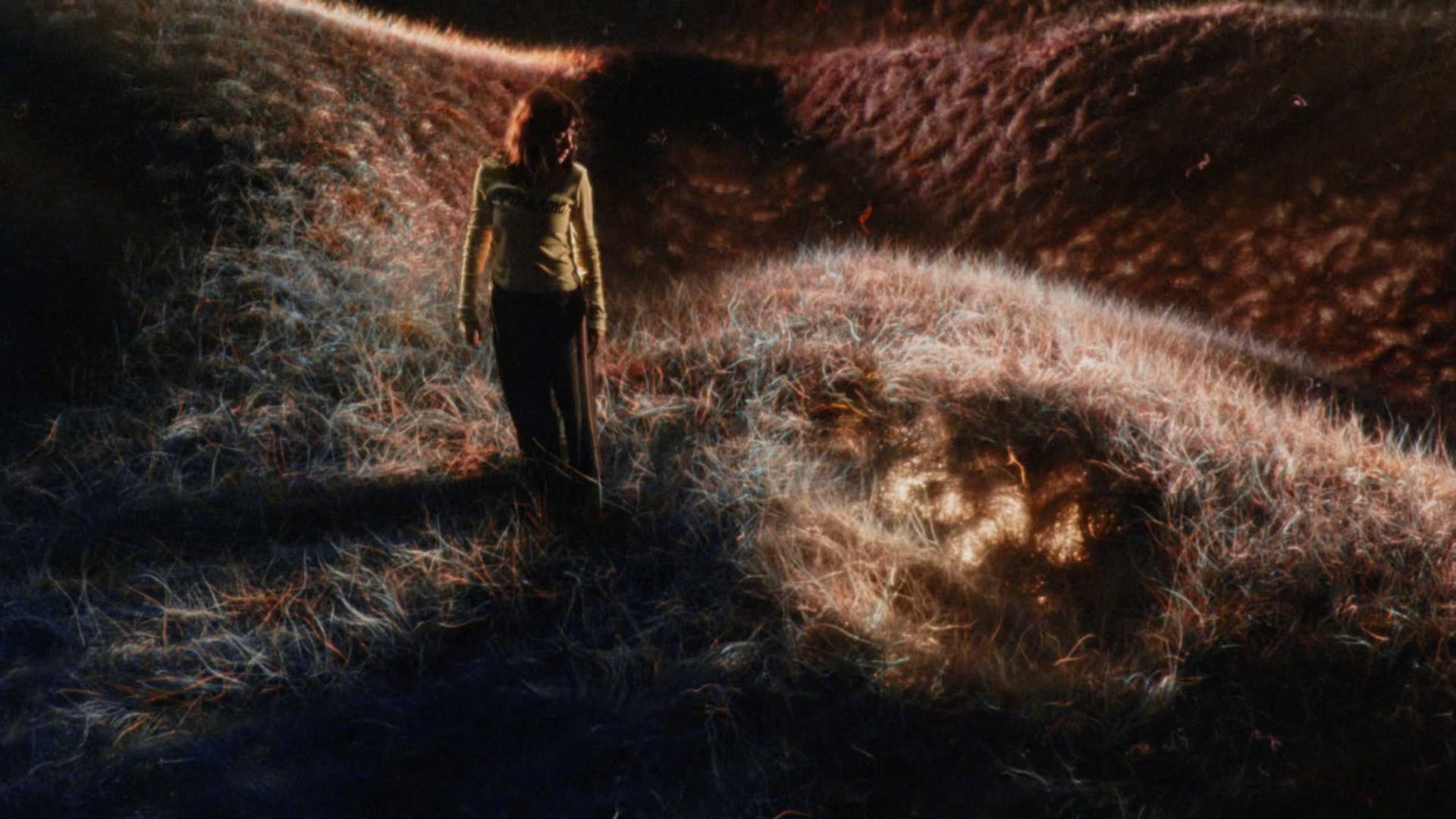 Ian Pons Jewell & Time Based Arts Get Lost in a Woolly World of "Money Possibilities" - Motion ...