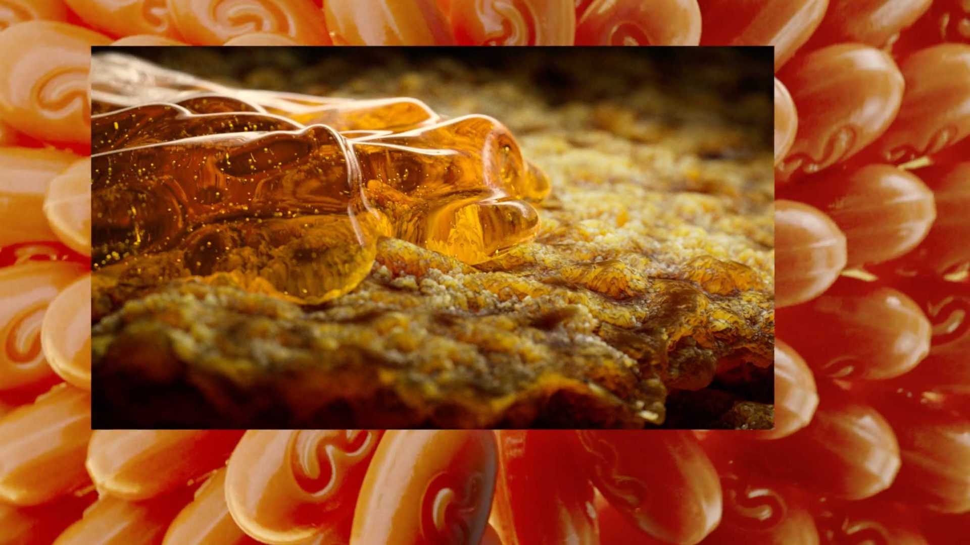 Trizz Studio Keeps it Sweet and Gooey for Ricola - Motion design ...