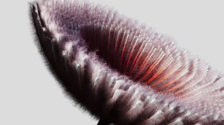 SELECTED Femme "Certified Mohair" Product Film by sub.stnc - Motion ...