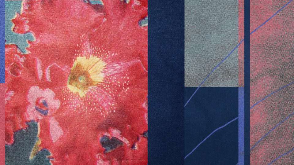 Watching Spring "Bloom" with Matt Smithson | STASH MAGAZINE : Motion ...