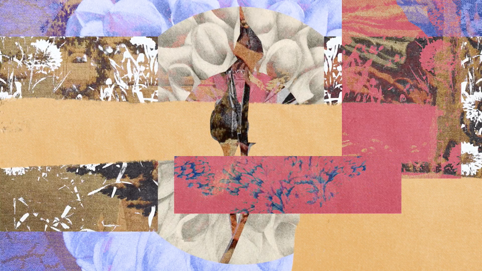 Watching Spring "Bloom" with Matt Smithson | STASH MAGAZINE : Motion ...