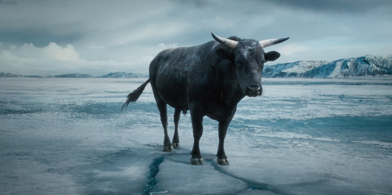 Money Supermarket "Money Calm Bull" in the China Shop | STASH MAGAZINE ...