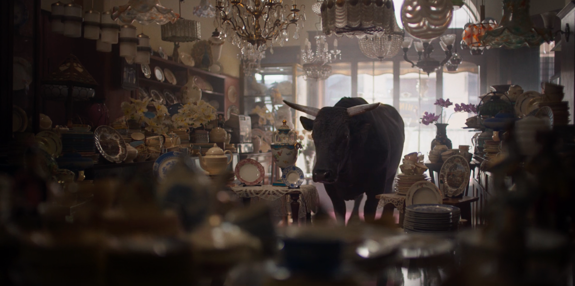 Money Supermarket "Money Calm Bull" in the China Shop | STASH MAGAZINE ...