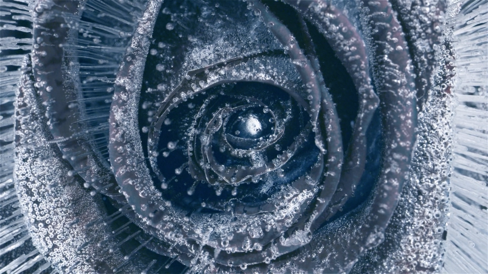 "Black Ice" Macro Time-lapse Short Film by Christopher Dormoy | STASH ...