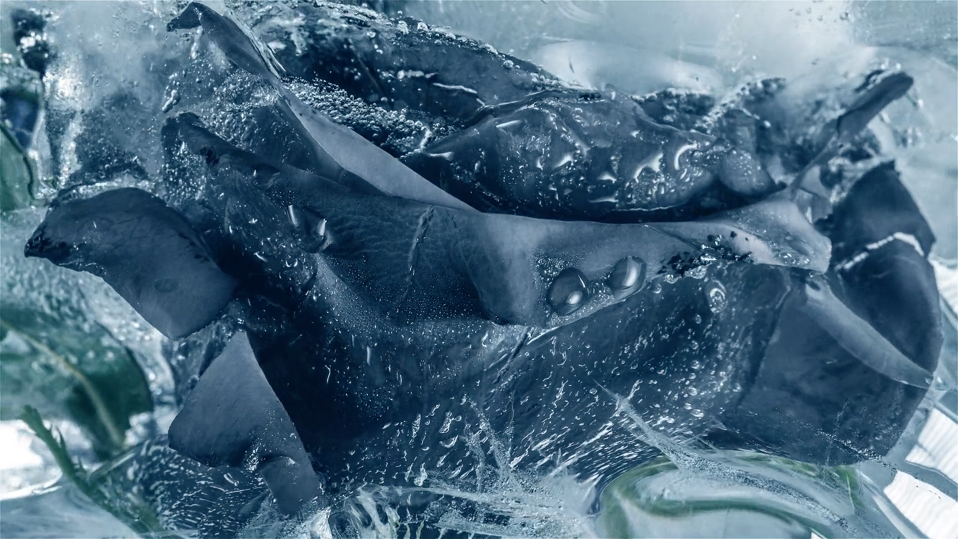 "Black Ice" Macro Time-lapse Short Film by Christopher Dormoy | STASH ...