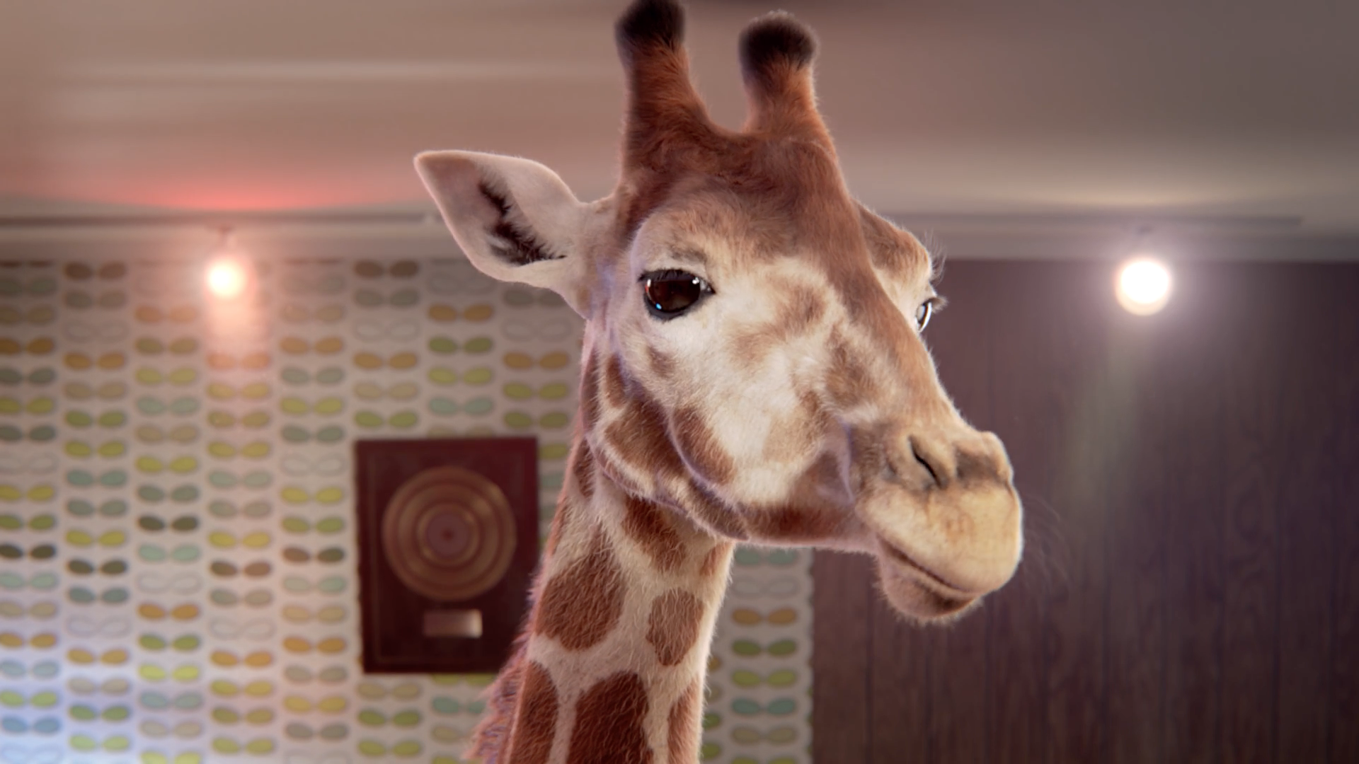 Cadre Pictures Stick their Neck Out for Triple M | STASH MAGAZINE ...