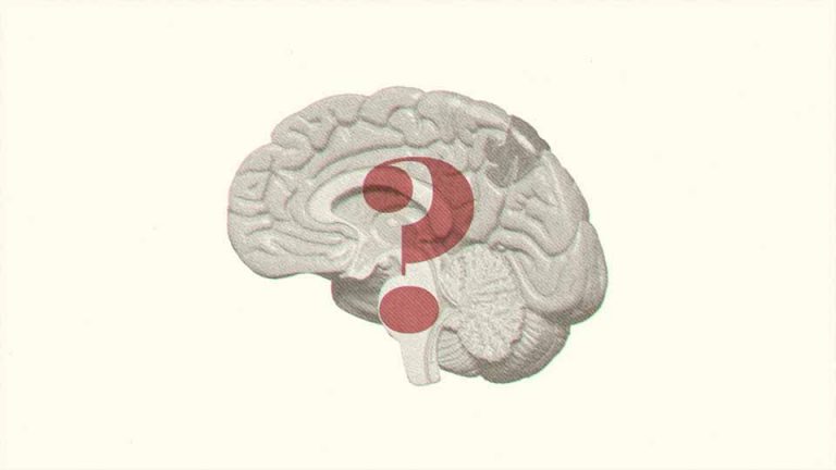 Eoin Duffy Asks "What Do All Languages Have in Common?" for TED Ed ...