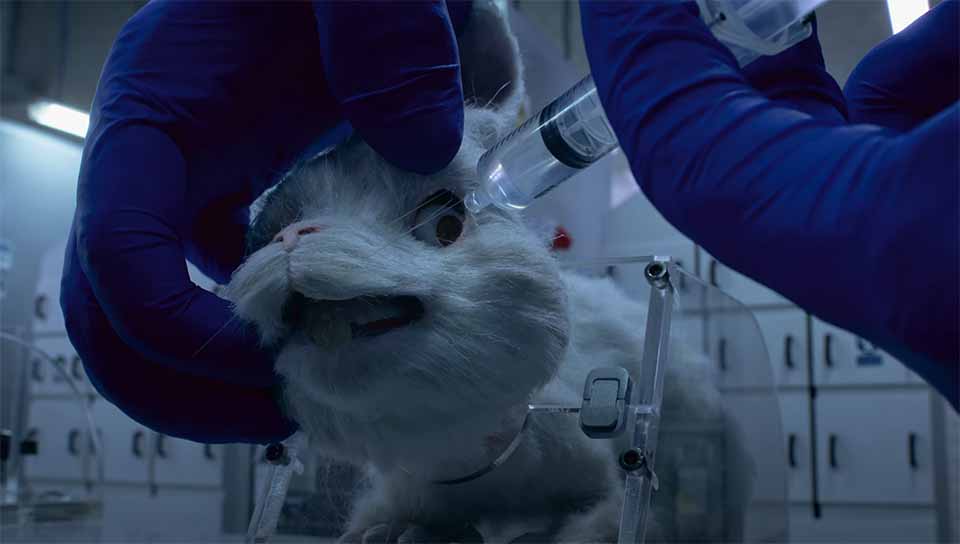 "Save Ralph" Short Film Aims to End Animal Testing - Motion design ...