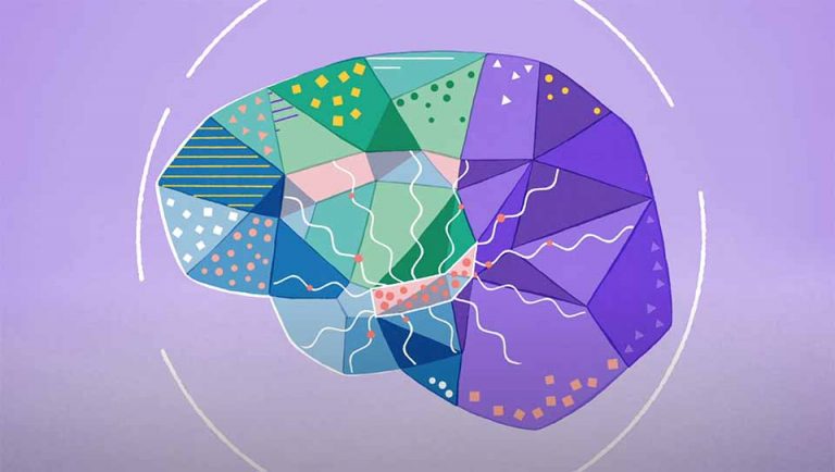 Qian Shi Asks "How Long Should Your Naps Be" with TED-ED - Motion ...