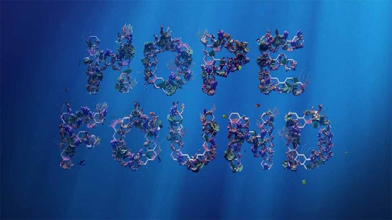 Sheba "Hope Grows" Branding Montage by weareseventeen - Motion design ...