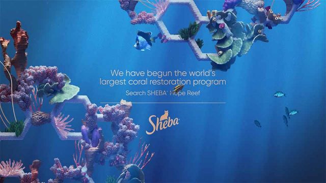 Sheba "Hope Grows" Branding Montage by weareseventeen - Motion design ...