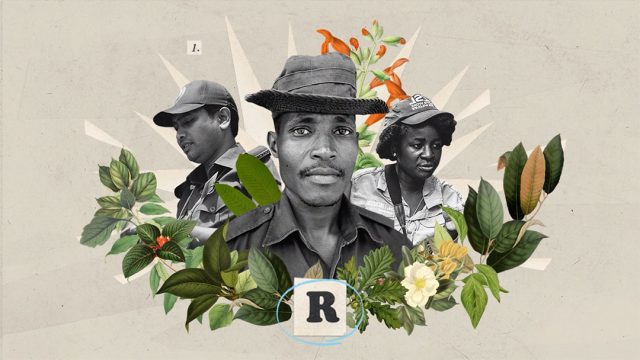 Re:wild "What is a Ranger?" Brand Film by Fernao Spadotto - Motion ...