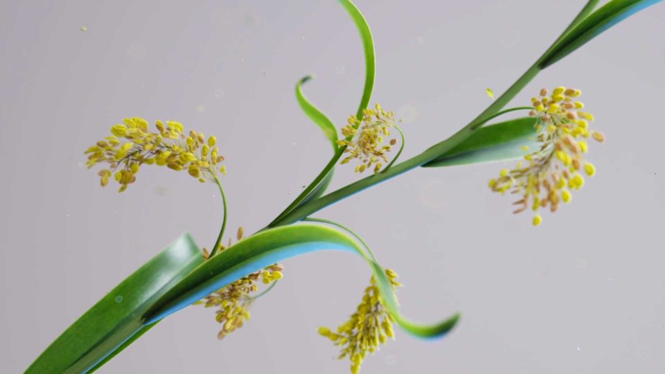 Onesal Cleans Up for Klinex BotaniTech (Director's Cut) - Motion design ...